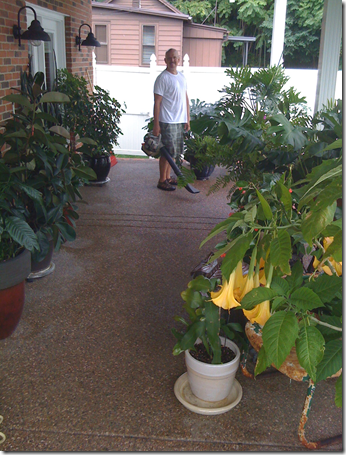 The “Kids” aka the Plants needed some Attention today! – Greg A Gibson